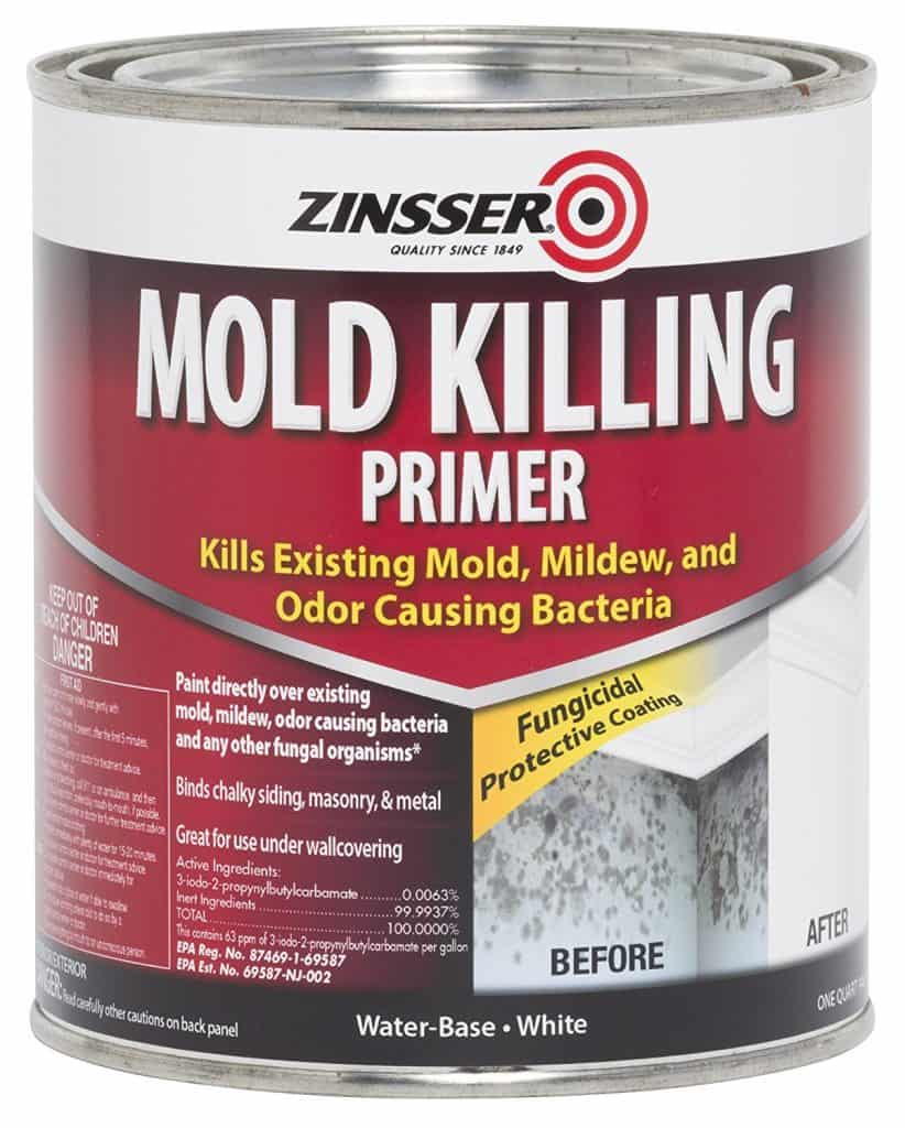 Can You Paint Over Mold in The Bathroom? - Decor Snob